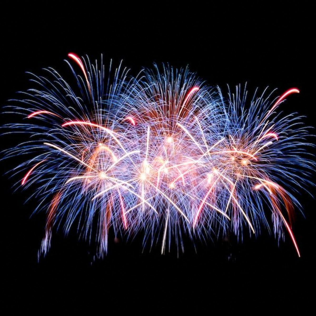 Tatsfield Primary School - Fireworks Night - Friday 3 November 2023